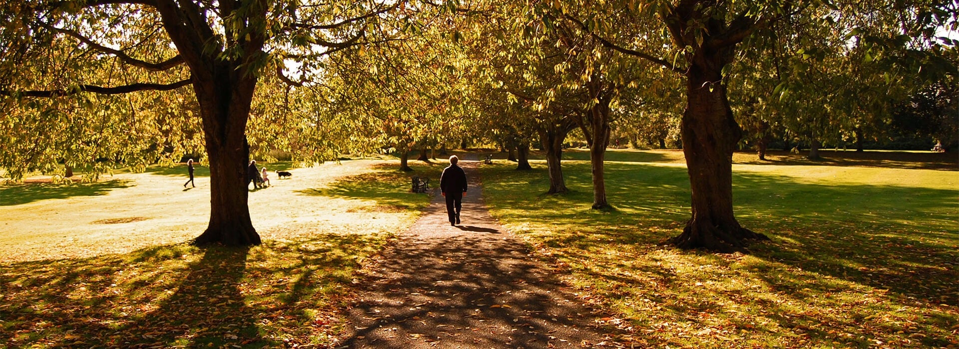 Bourne Woods - Visit Lincolnshire