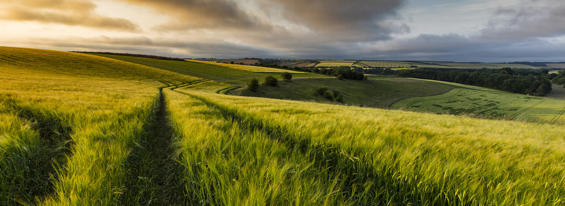 Lincolnshire Tourist Information Centres - Visit Lincolnshire