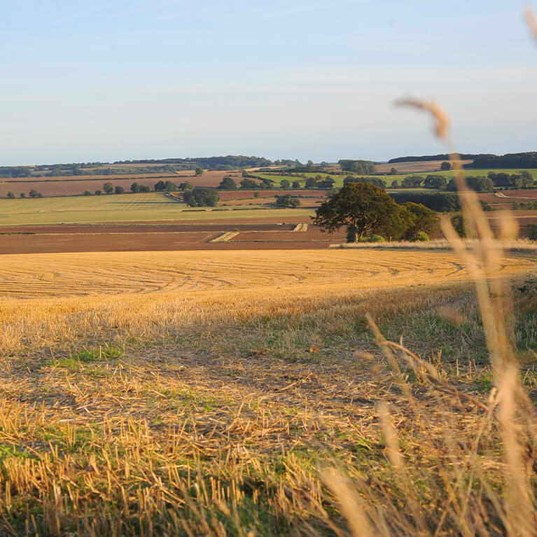 Red Hill Nature Reserve - Visit Lincolnshire