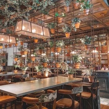 The Botanist - Visit Lincolnshire