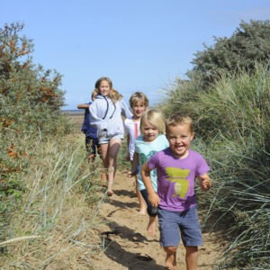 Saltfleetby Theddlethorpe Dunes - Visit Lincolnshire