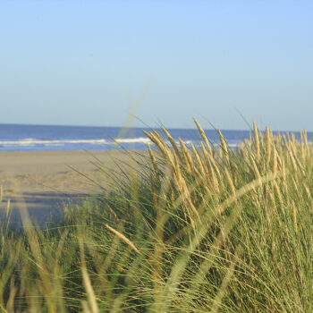 Saltfleetby Theddlethorpe Dunes - Visit Lincolnshire