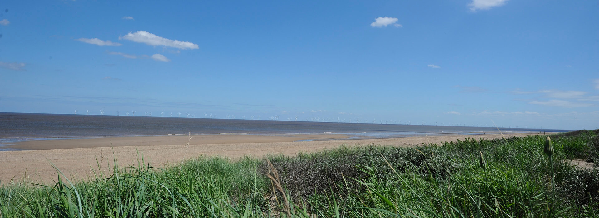 Wolla Bank Pit Nature Reserve - Visit Lincolnshire