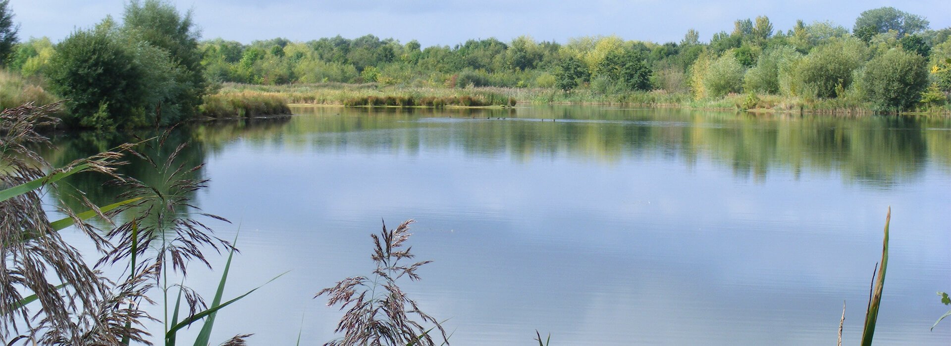 Deepings Lakes Nature Reserve - Visit Lincolnshire