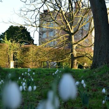 Wander through snowdrops - Visit Lincolnshire