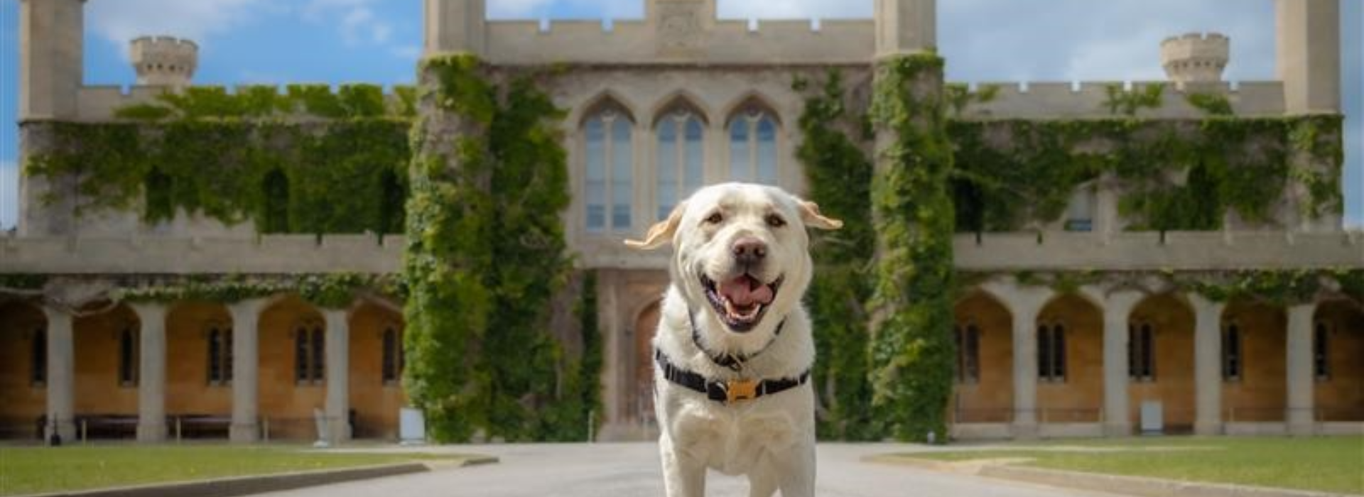 Dog Friendly Days at Lincoln Castle - Visit Lincolnshire