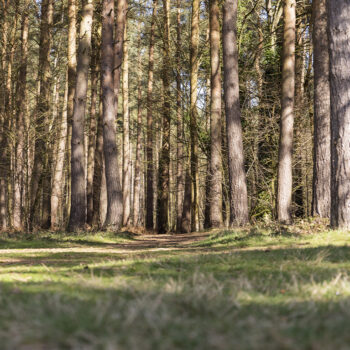 Market Rasen - Visit Lincolnshire