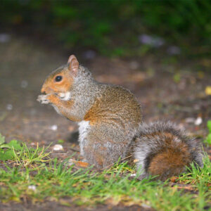 Far Ings Nature Reserve - Visit Lincolnshire