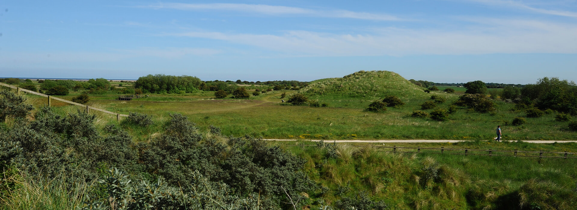 Saltfleetby-Theddlethorpe Dunes Birdwatching - Visit Lincolnshire