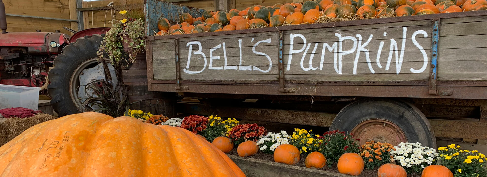 Bell’s Pumpkin Patch, Boston - Visit Lincolnshire