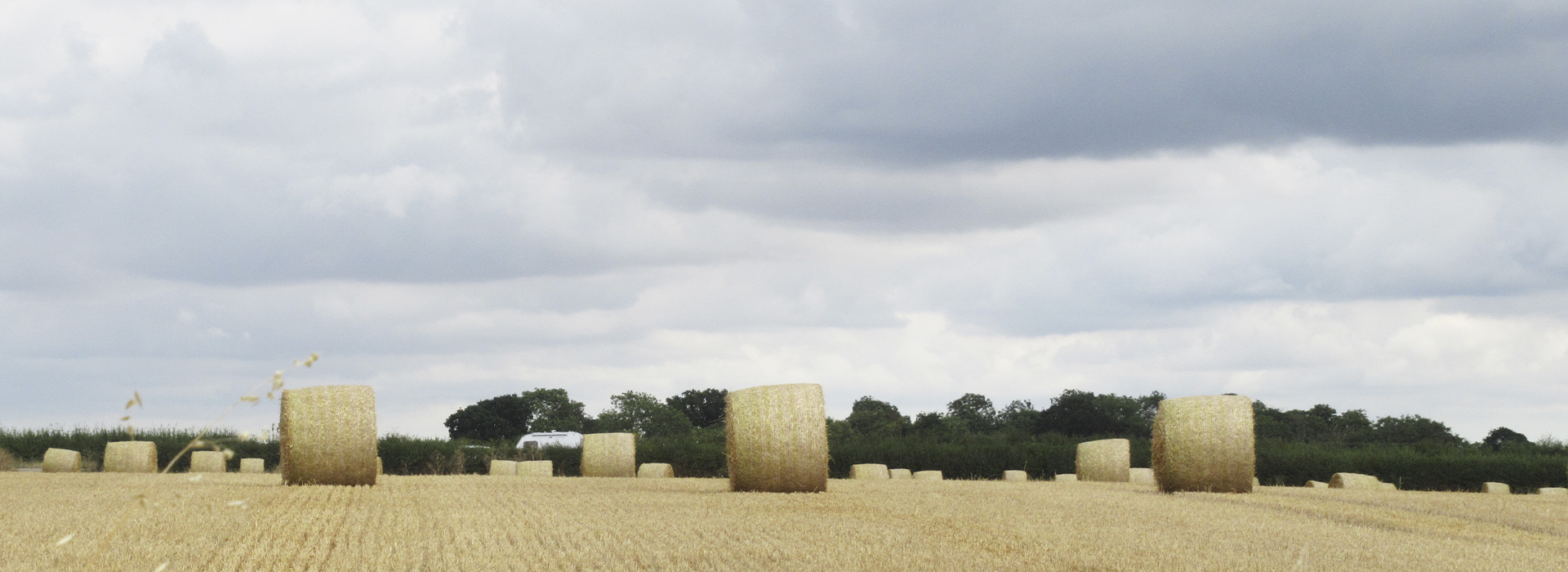Billinghay Walk One - Visit Lincolnshire