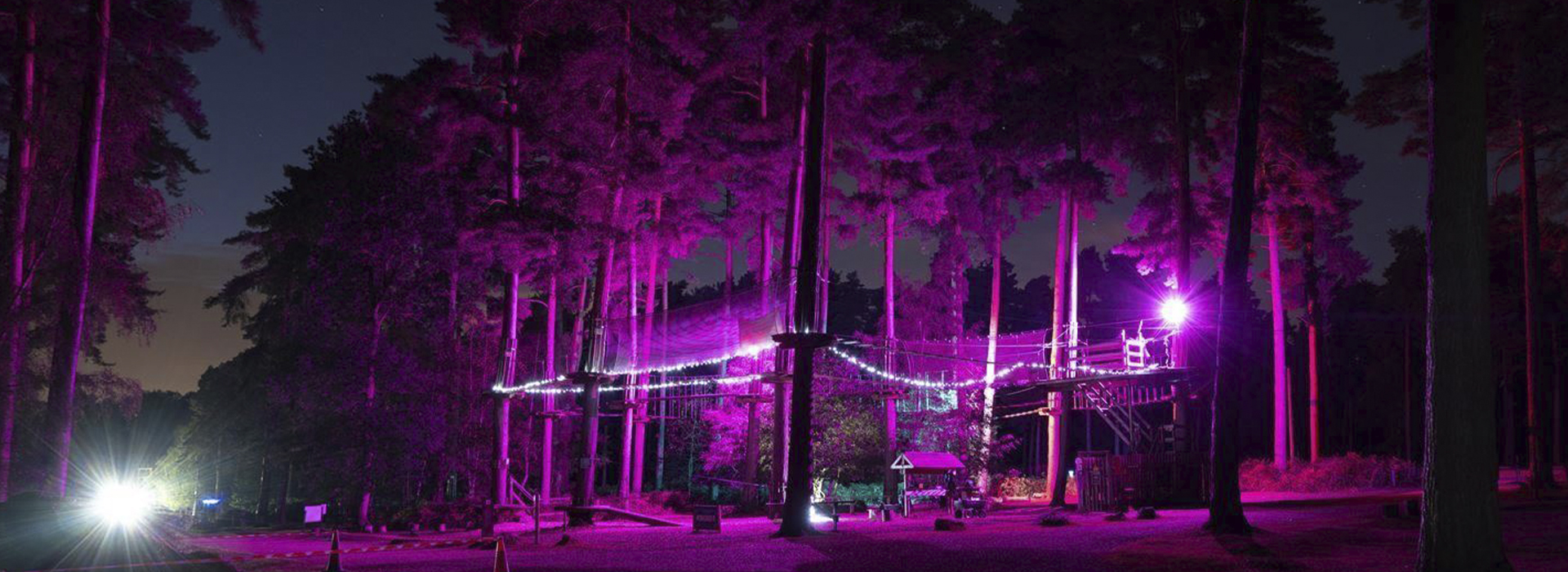 Sundown Sessions at Go Ape - Visit Lincolnshire