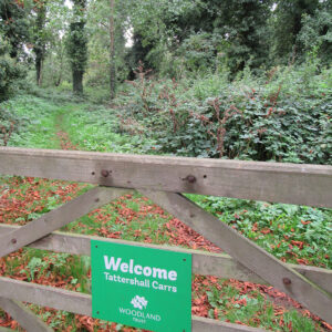 Tattershall & Coningsby Walk Long - Visit Lincolnshire
