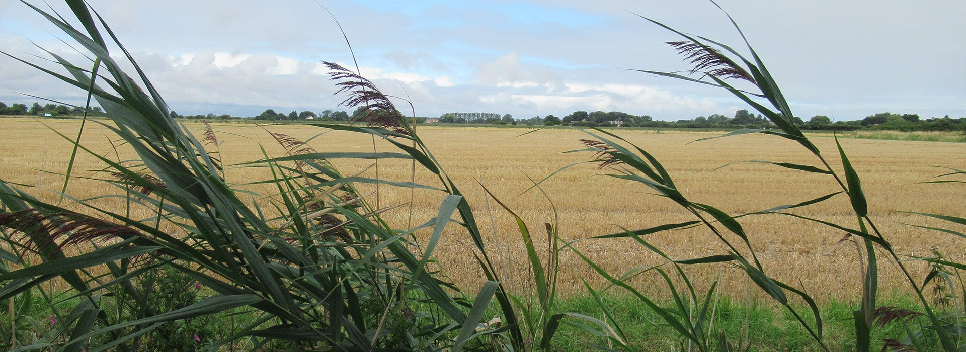 North Somercotes Village Walk - Visit Lincolnshire