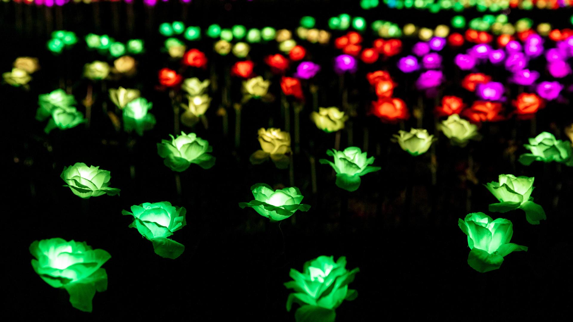 Win a family ticket to Christmas at Belton - Visit Lincolnshire