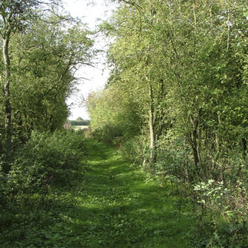 Fiskerton Short Walk - Visit Lincolnshire