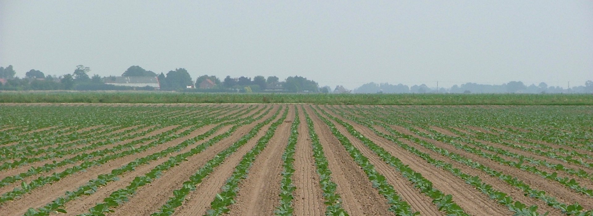 Friskney Walk One - Visit Lincolnshire