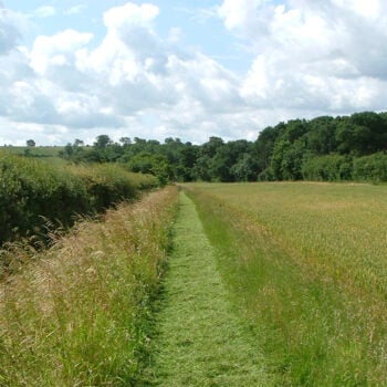 Fulbeck Long Walk - Visit Lincolnshire