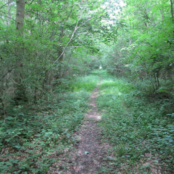 Stainfield & Apley Hardy Gang Walk Short - Visit Lincolnshire