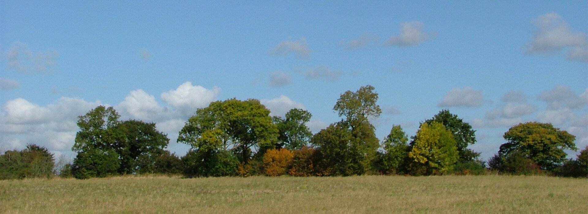 Wragby & Goltho Walk Long - Visit Lincolnshire