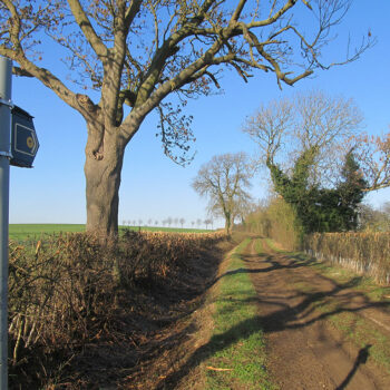 Viking Way 10 Wellingore To Marston Walk - Visit Lincolnshire