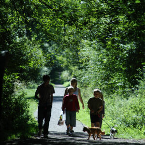Bourne Woods Walk - Visit Lincolnshire