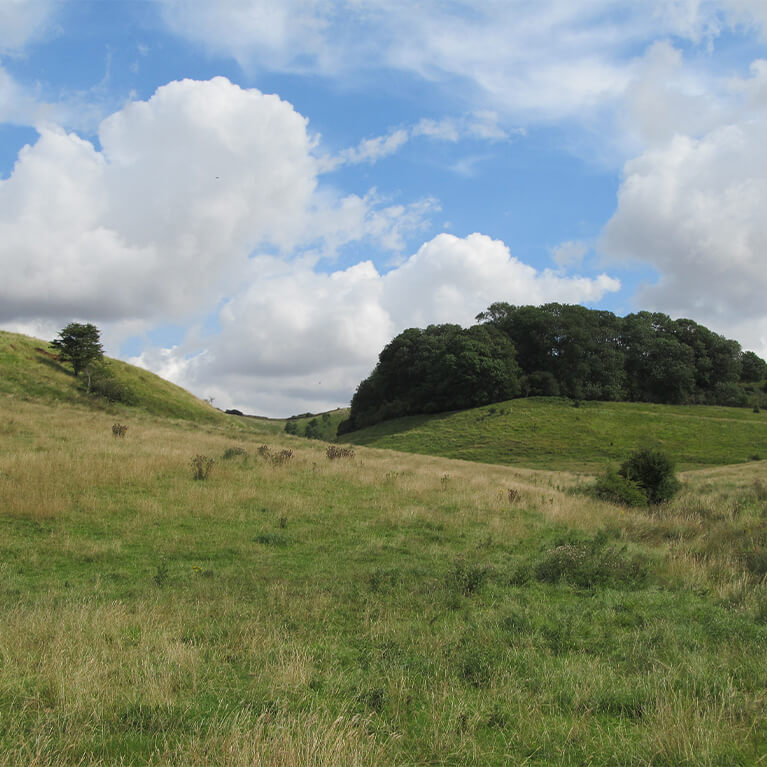 Viking Way 03 Caistor To Tealby Walk - Visit Lincolnshire