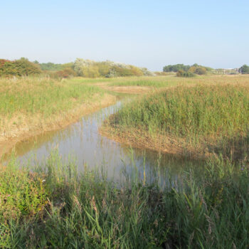 Chapel Six Marshes Walk - Visit Lincolnshire