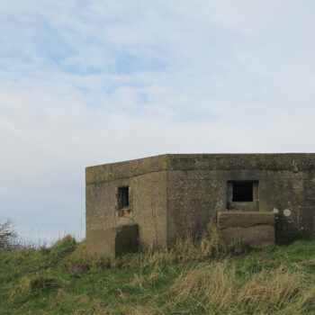 Freiston Shore Walk One - Visit Lincolnshire