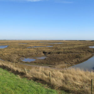 Freiston Shore Walk One - Visit Lincolnshire