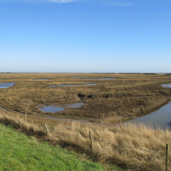 Freiston Shore Walk One - Visit Lincolnshire