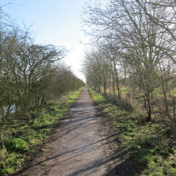 Freiston Shore Walk One - Visit Lincolnshire