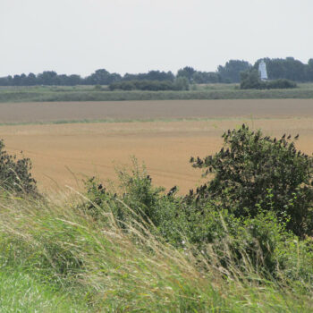 Gedney Drove End Short Walk - Visit Lincolnshire