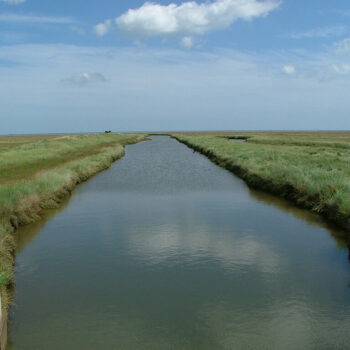 Grainthorpe Haven Walk - Visit Lincolnshire