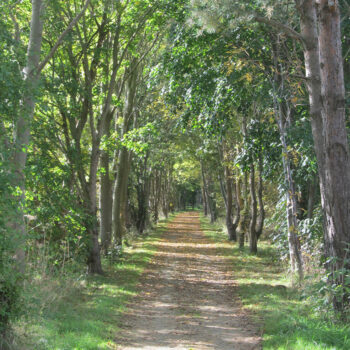 Viking Way 06 Horncastle To Bardney Walk - Visit Lincolnshire