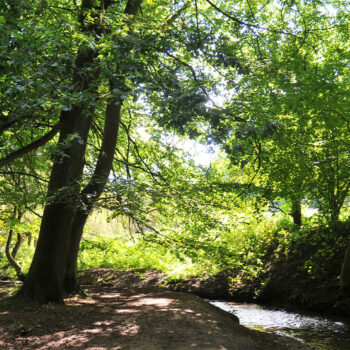 Louth Hubbard's Hills Walk - Visit Lincolnshire