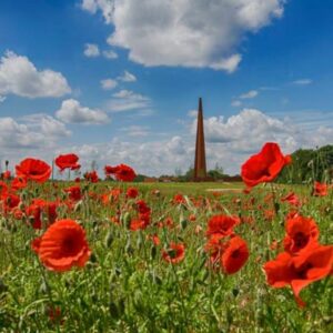IBCC Lancaster Poppy Display - Visit Lincolnshire