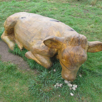 Mareham Pastures Walk - Visit Lincolnshire