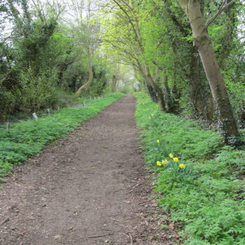Dunholme, Nettleham & Scothern Walk - Visit Lincolnshire