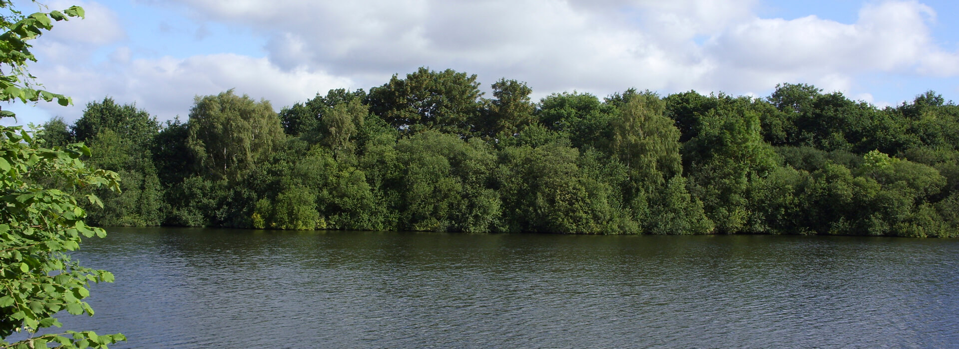 Whisby Nature Park Coot Lake Walk - Visit Lincolnshire