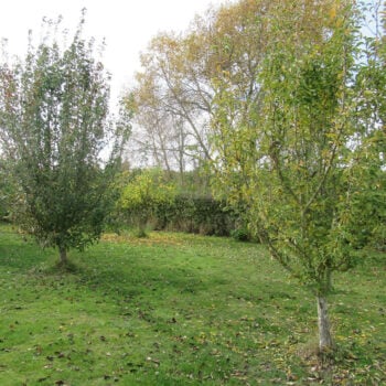 Wyberton Walk - Visit Lincolnshire