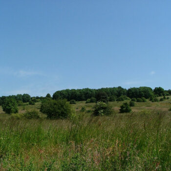 Viking Way 08 Through Lincoln Walk - Visit Lincolnshire