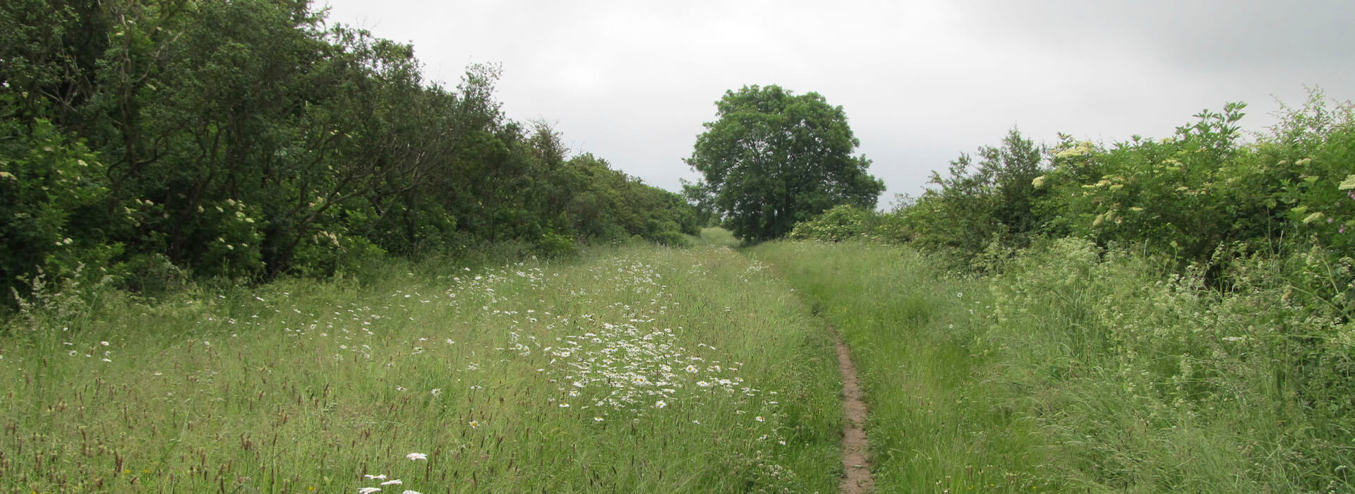 Viking Way 12 Woolsthorpe To Sewstern Walk - Visit Lincolnshire