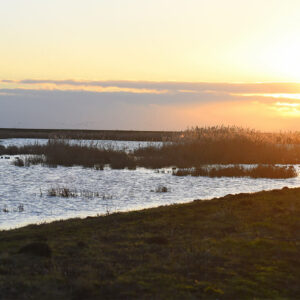 Frampton Marsh Walk Three - Visit Lincolnshire