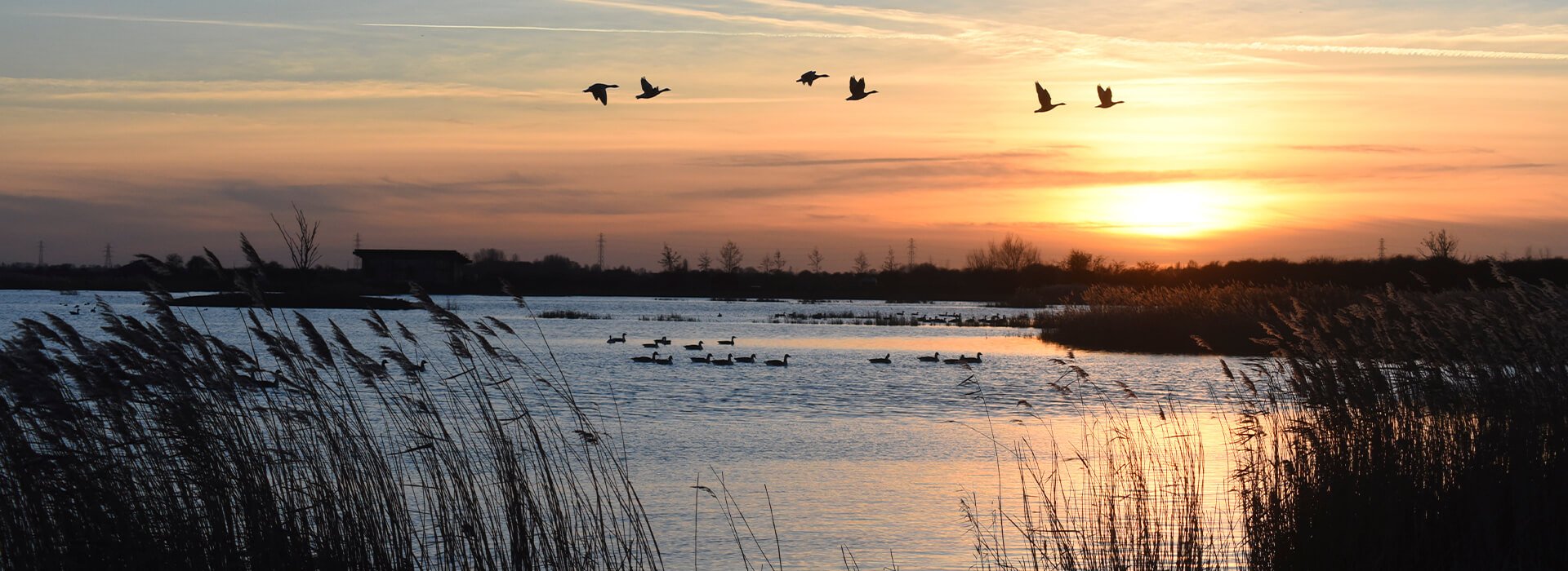 Frampton Marsh Walk One - Visit Lincolnshire
