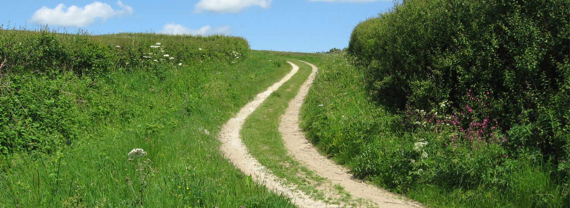 Lindsey Trail Walk - Visit Lincolnshire