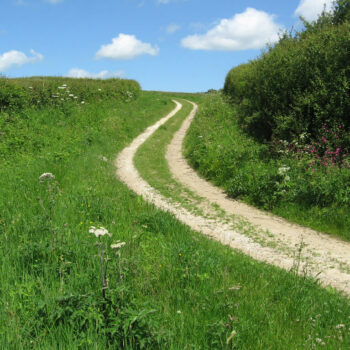 The Lindsey Trail - Visit Lincolnshire