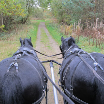 The Lindsey Trail - Visit Lincolnshire