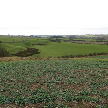 Lindsey Trail Walk - Visit Lincolnshire