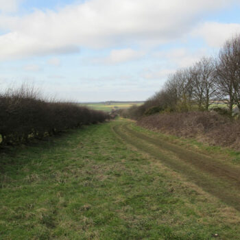 Lindsey Trail Walk - Visit Lincolnshire